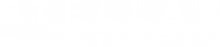 Strides International