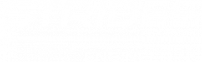 Strides International