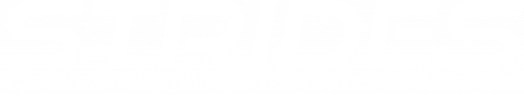 Strides International