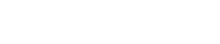 Strides International