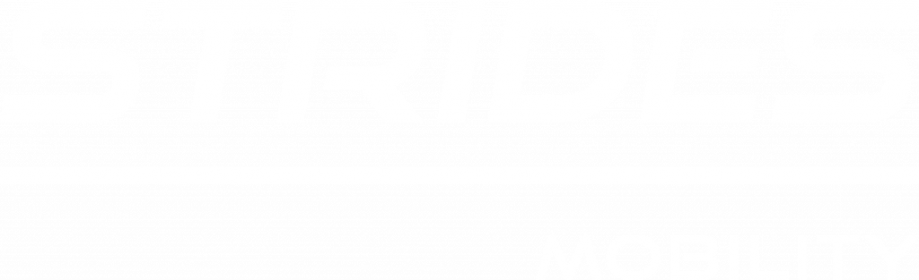 Strides International