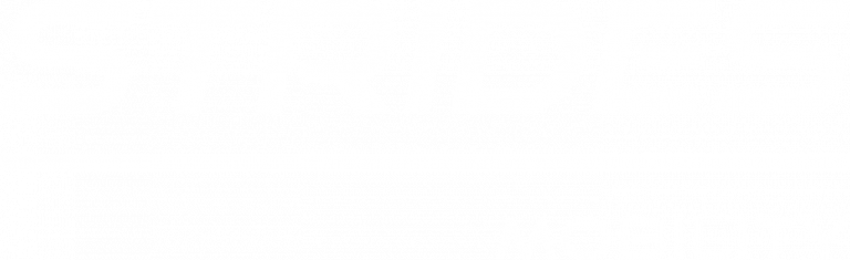 Strides International