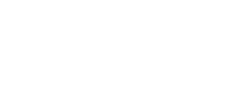 Strides International