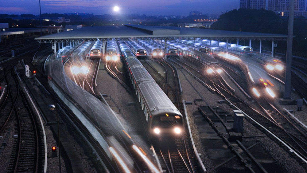 Products & Services – STRIDES